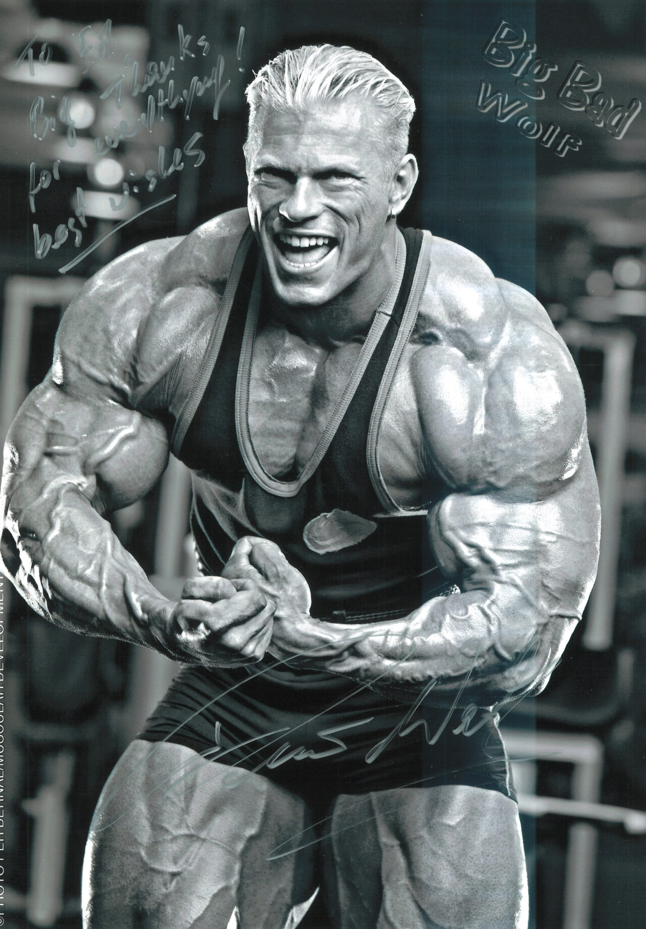 Gallery | Ed Connors